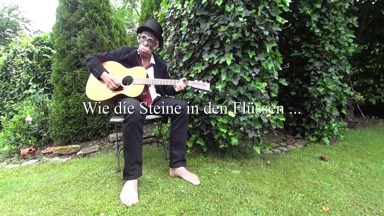 SCHADE - Michael Riehm - YouTube