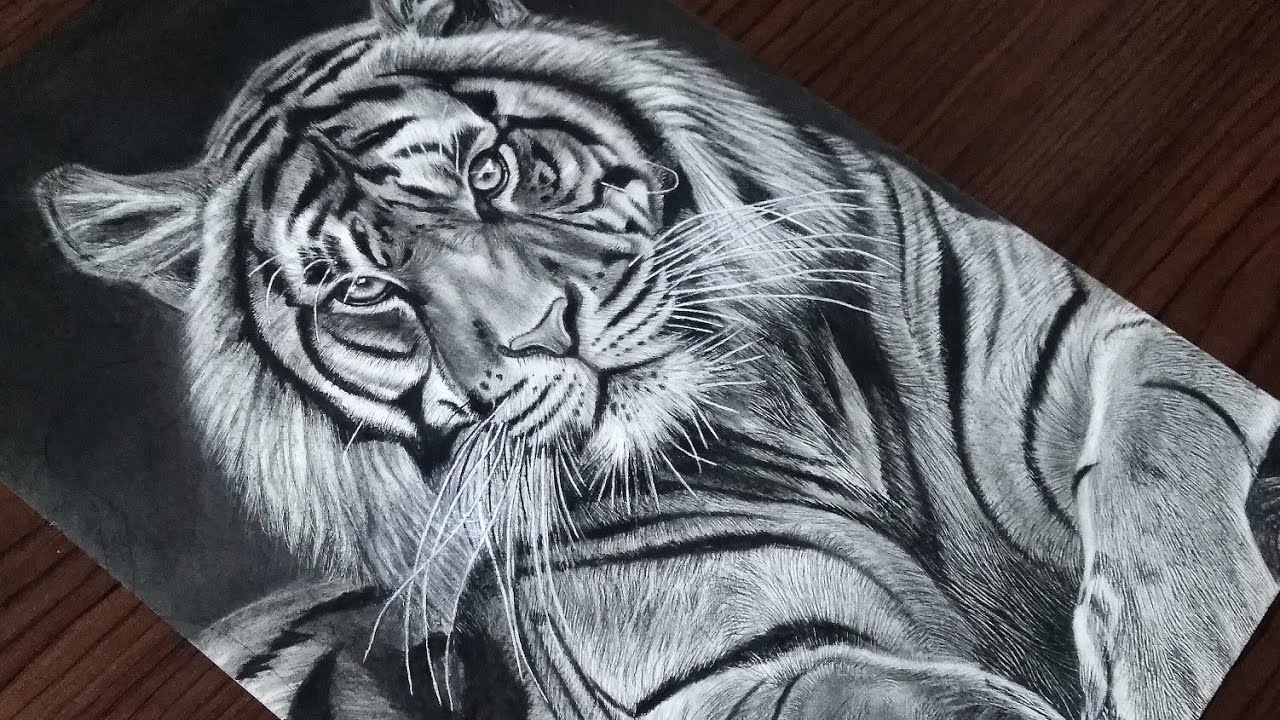 How to Draw a Realistic Tiger with a simple technique & materials Step ...