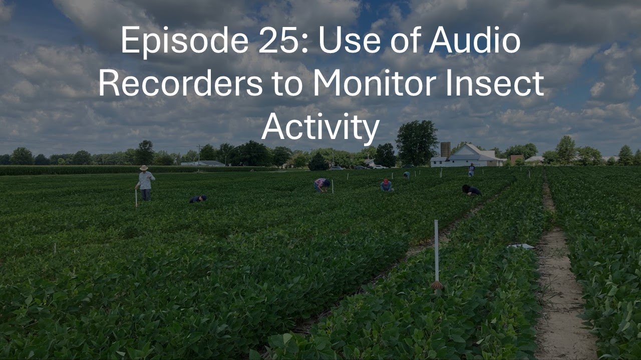 Season 2, Episode 25: Use of Audio Recorders to Monitor Insect Activity ...