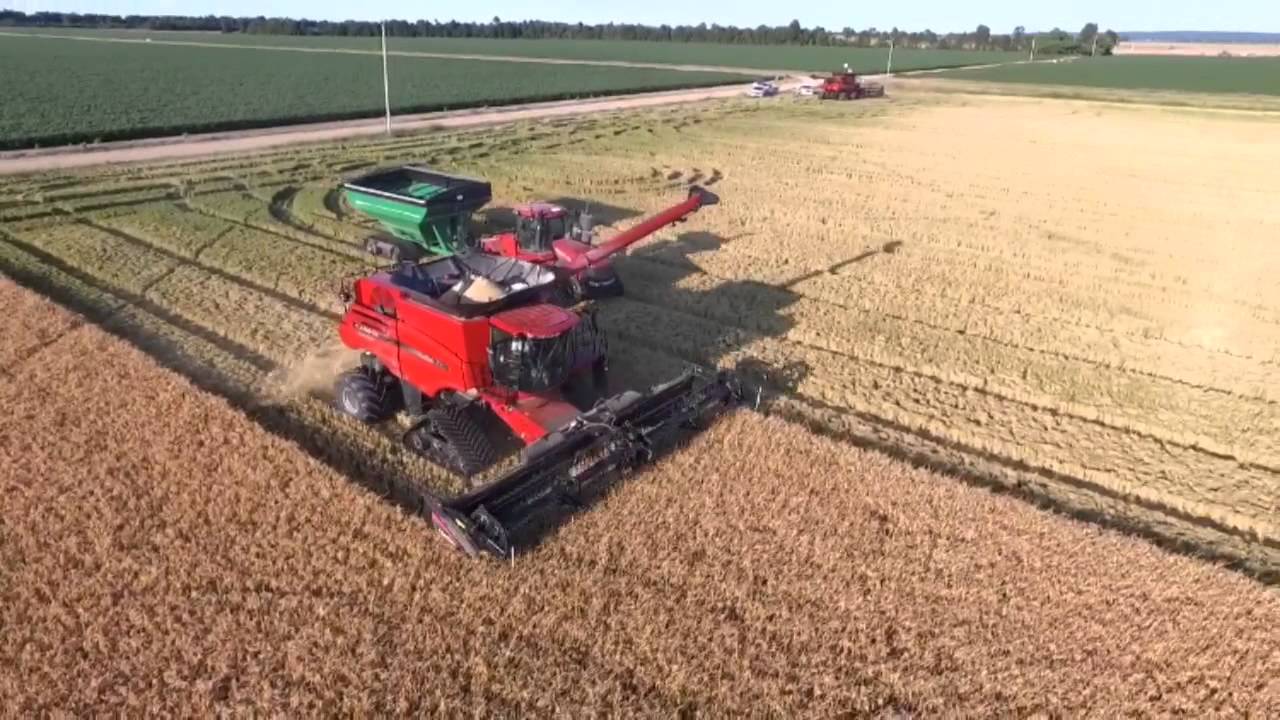 RiceTec rice harvest in Northeast Arkansas - YouTube