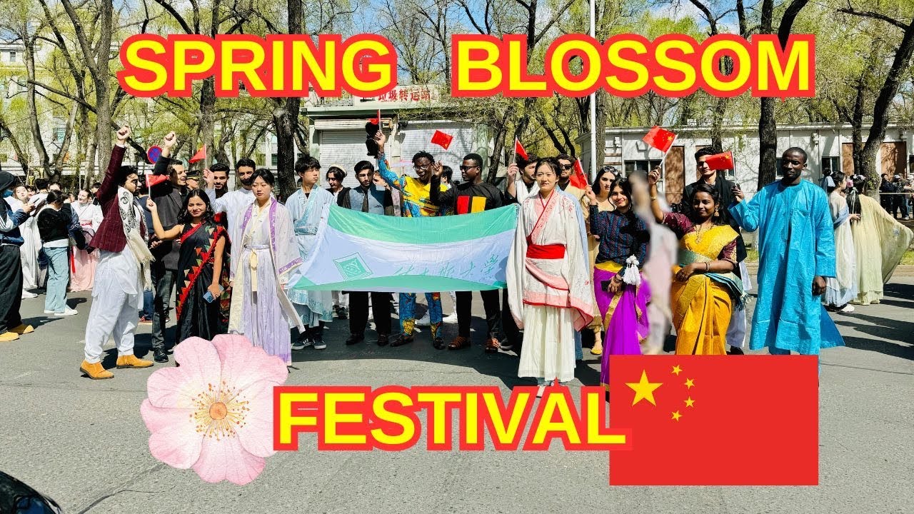 How Chinese People Celebrate Spring Blossom Festival🌸 in China🇨🇳?|Vlog ...