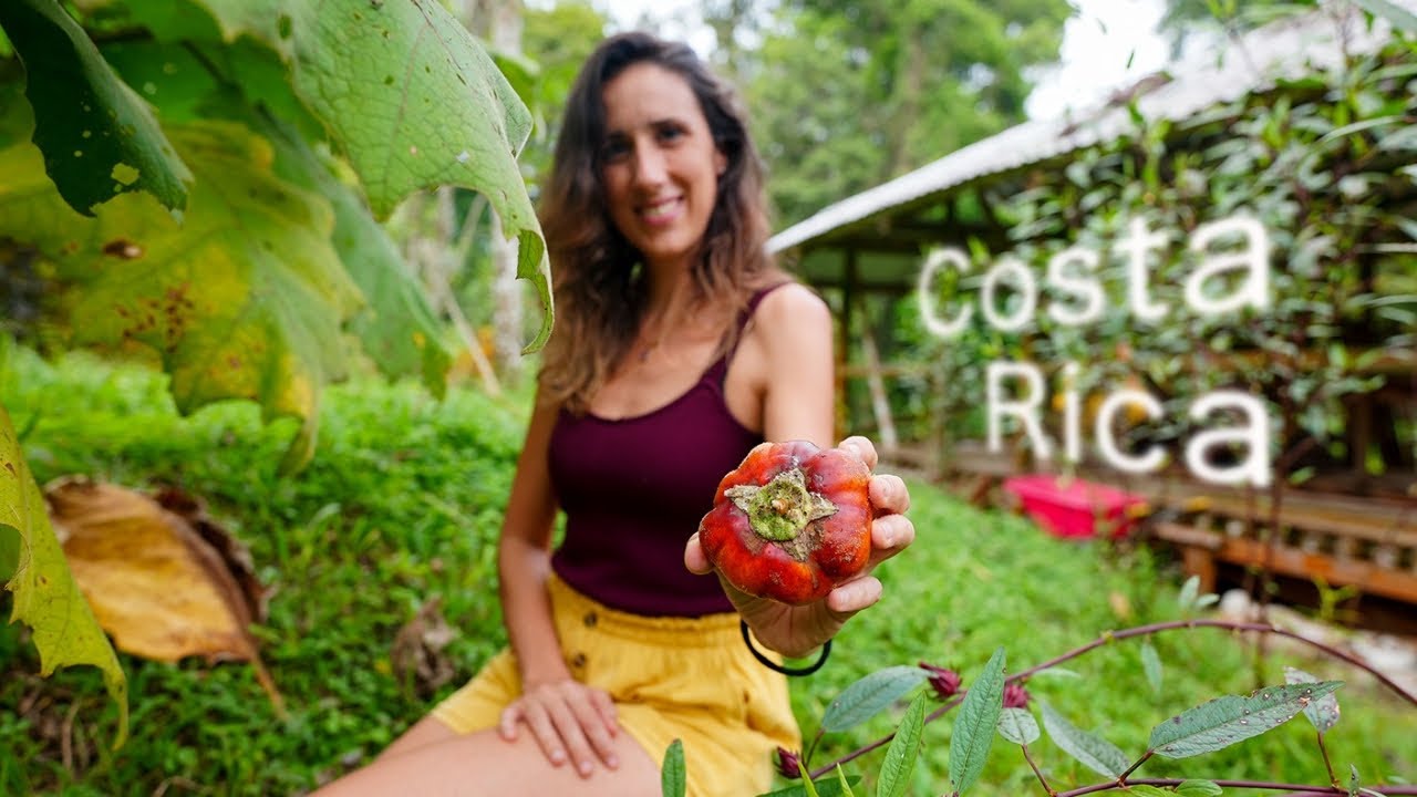 How To Create A Completely Sustainable Farm + Tour | Costa Rica - YouTube