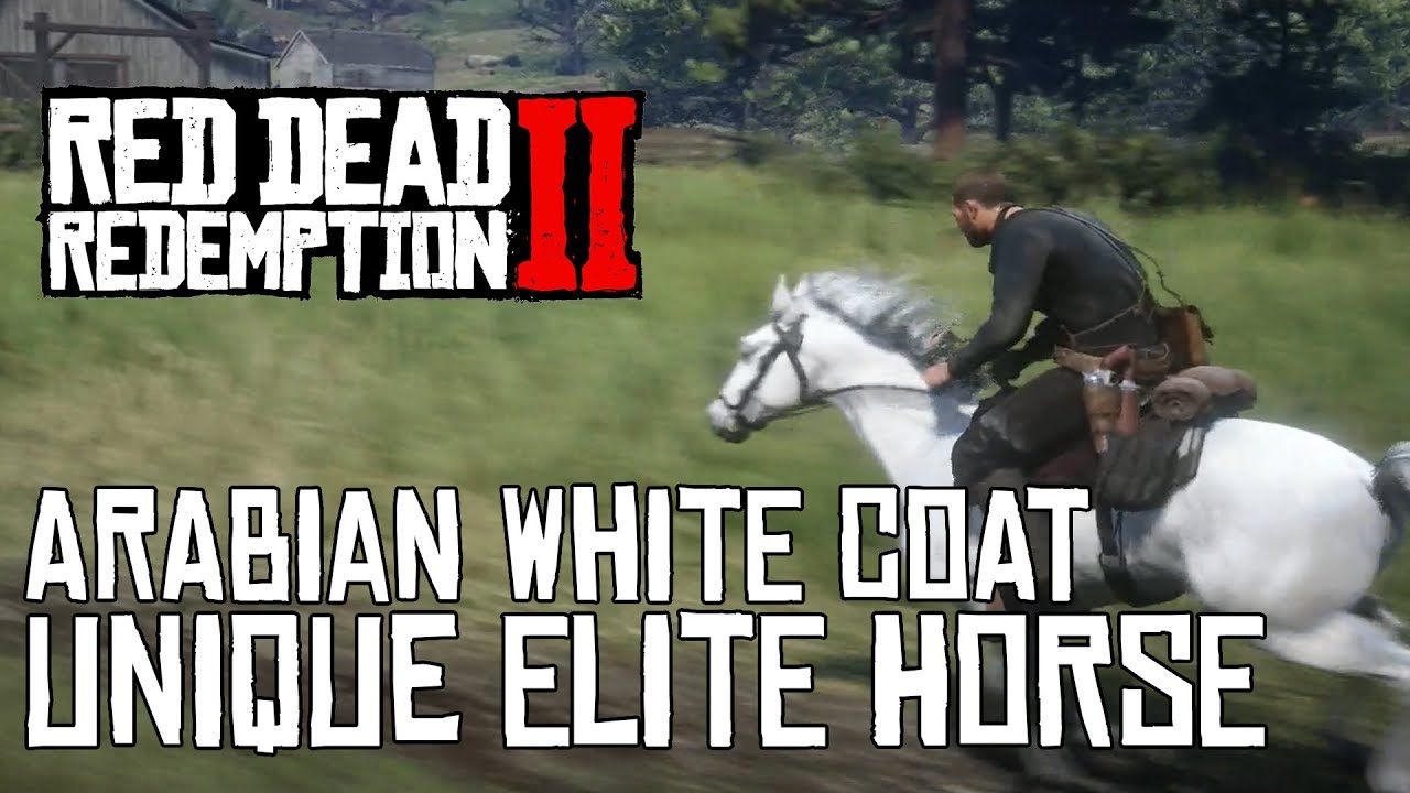 Red Dead Redemption 2 HOW TO GET ARABIAN WHITE COAT (UNIQUE HORSE ...