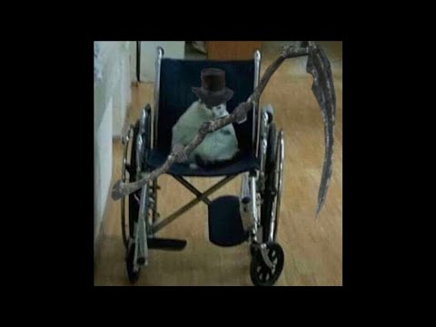 Gehrman The First Hunter, Absolute Masterpiece. - YouTube