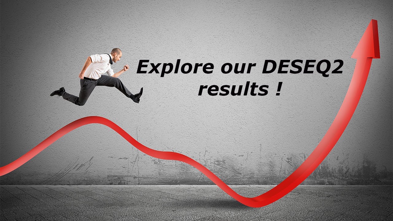 Let's explore the DESEQ results files ! John Rinn Computational ...