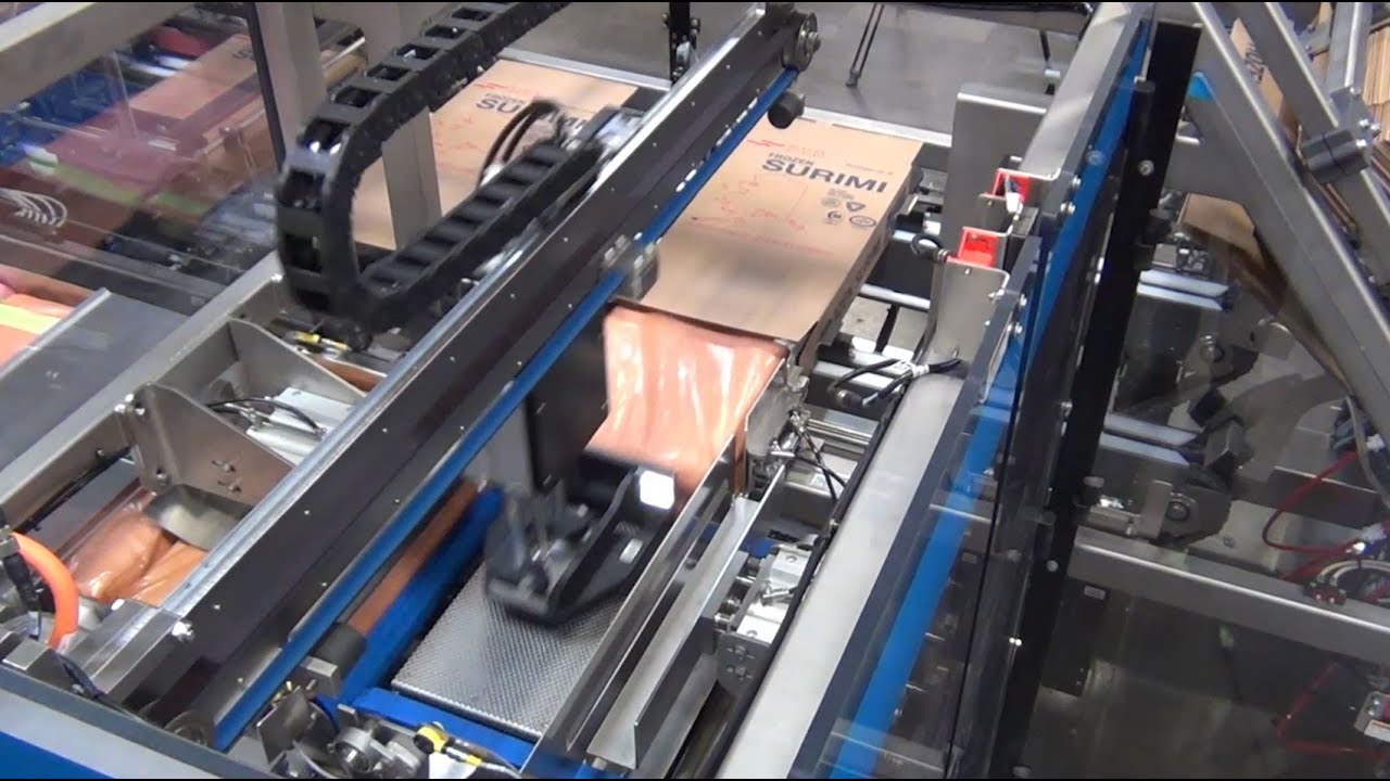 Case Packer, KD 20 - Blocks of Frozen Fish - BW Integrated Systems ...