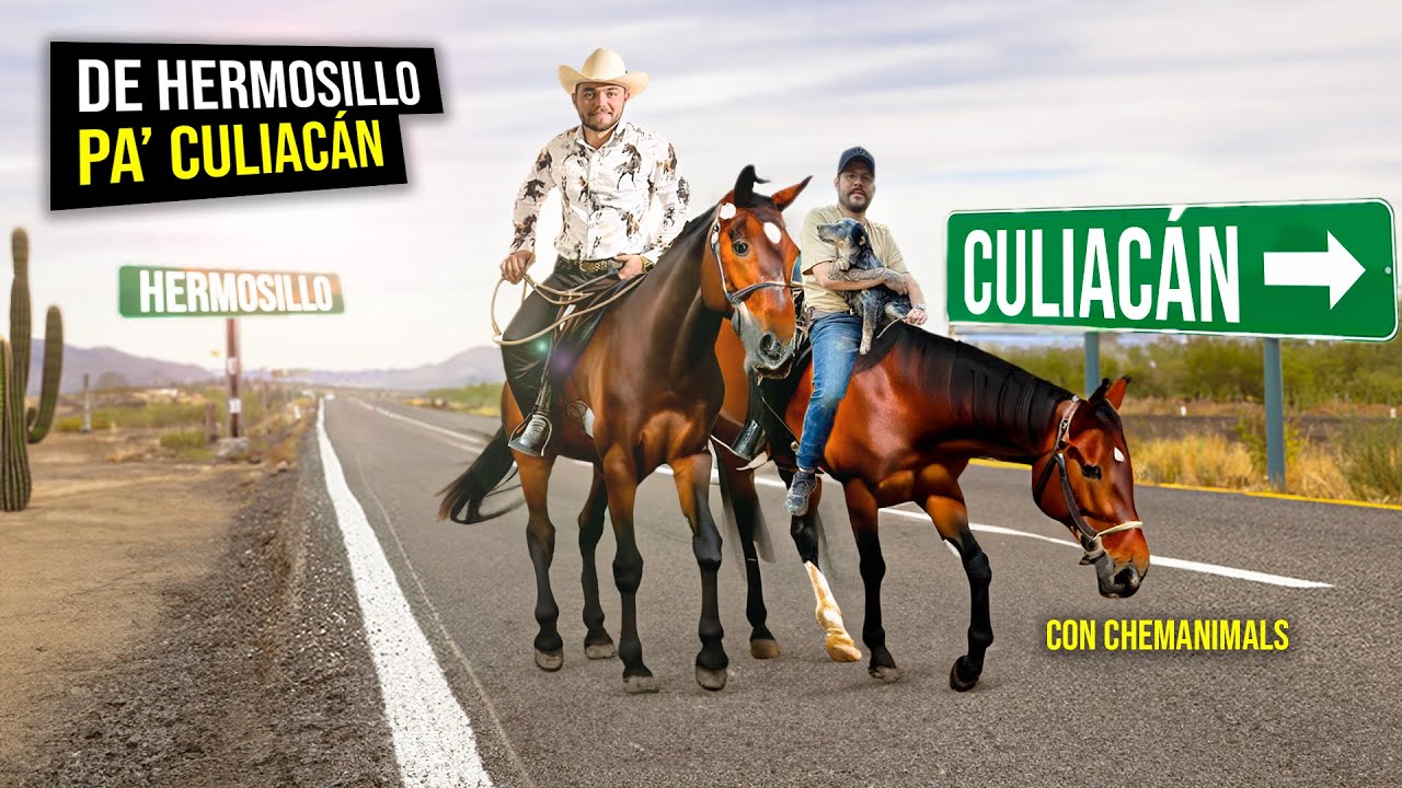Viaje 700 KILÓMETROS de Hermosillo a Culiacán, Sinaloa | Con ...
