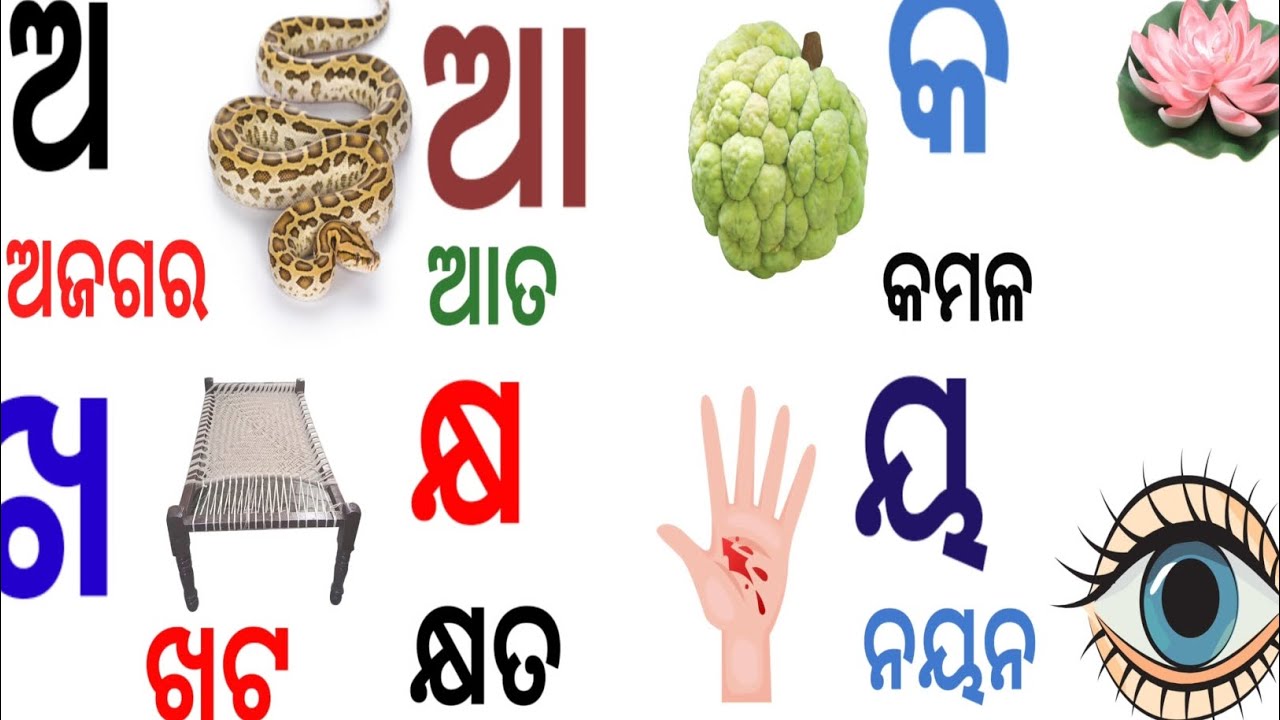 odia barnamala.A Aa odia.A for ajagara,Aa ru ata.odia alphabets.odia ...