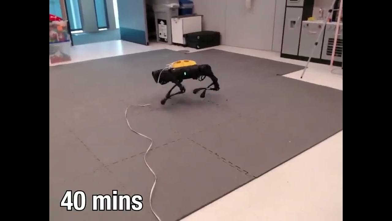 ROBOT KÖPEK YÜRÜYOR ROBOT DOG WALKING - YouTube