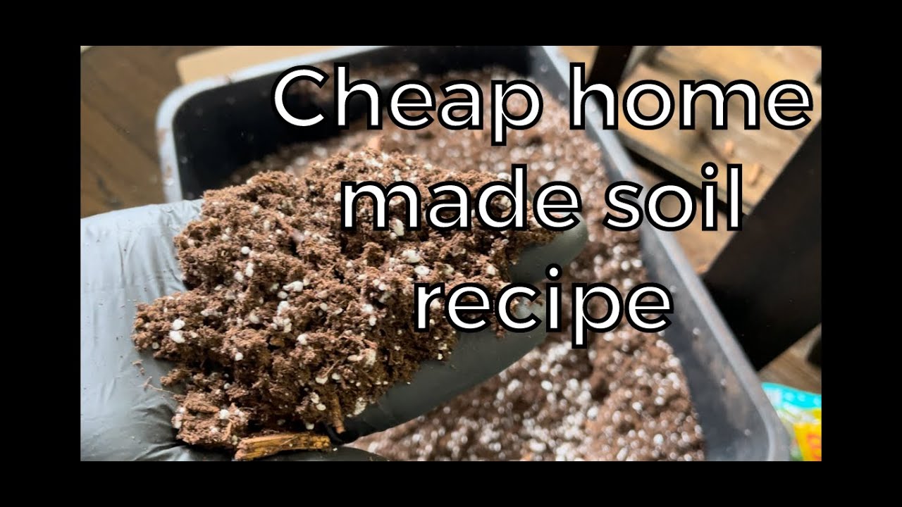 How to make a Homemade soil? (Making your own soil to save money ...