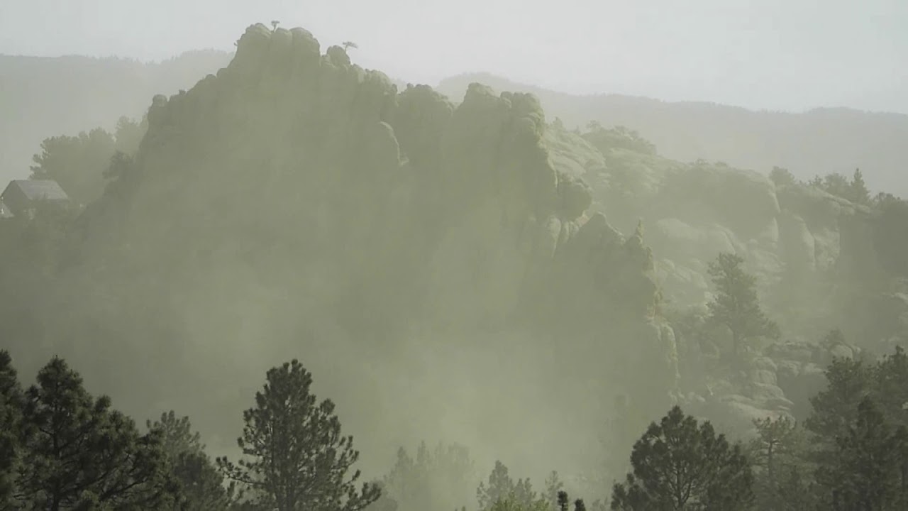 Clouds of Pollen. The Pollen Count is High! - YouTube