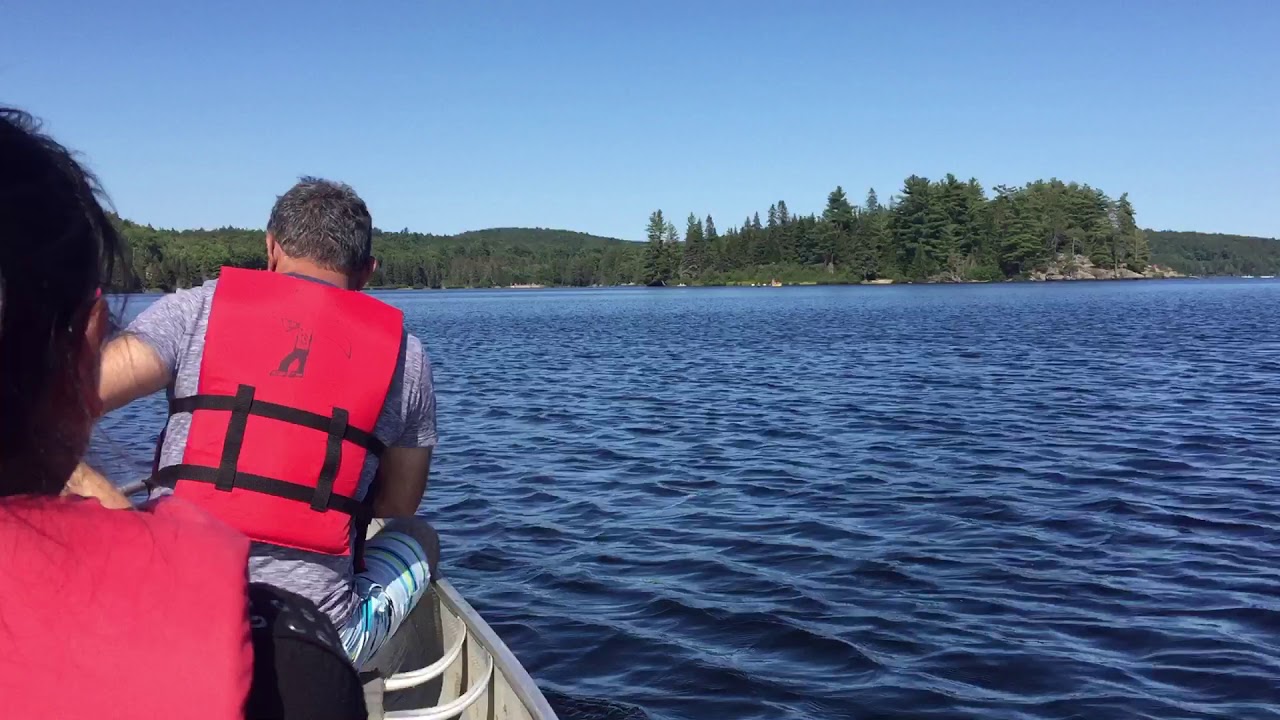 August 4, 2019 - Muskoka Canoeing - YouTube