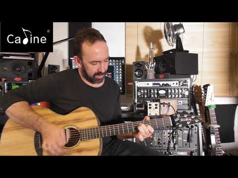 CP 40Caline Acoustic PreAmpDI