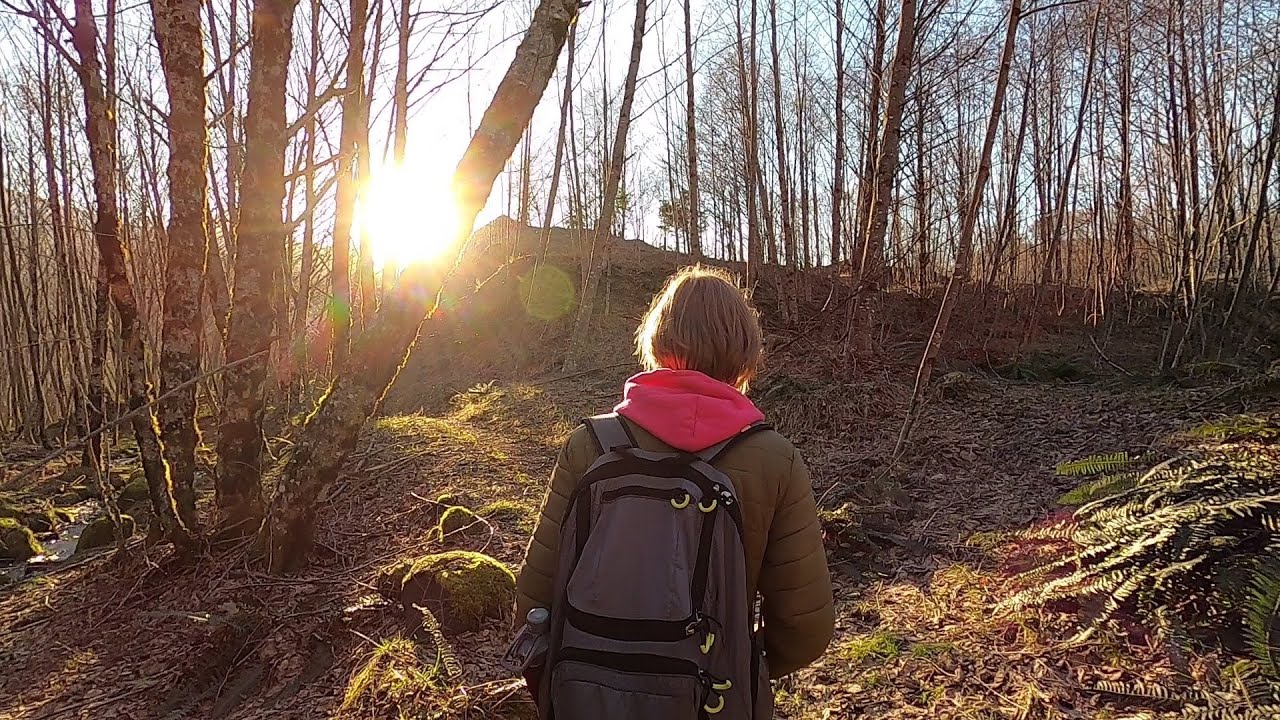 Hiking Hummocks Trail (Mount St. Helens) - YouTube