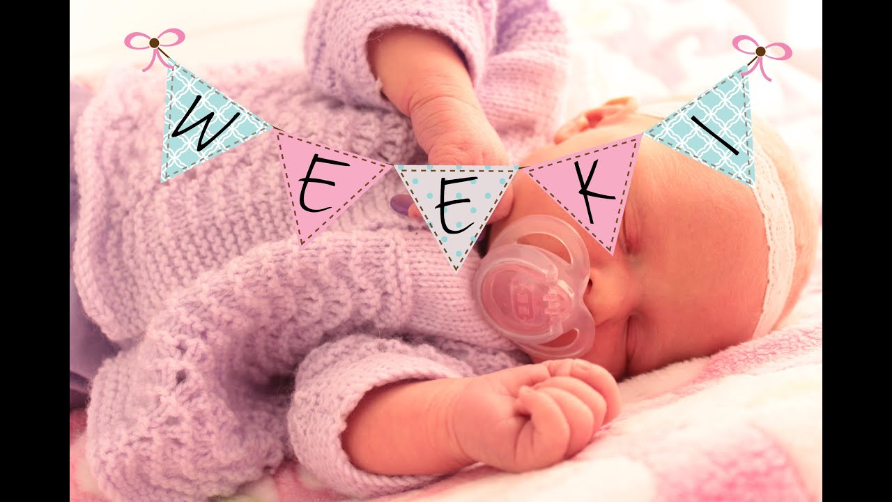 First week with a newborn & toddler { Orange Family WITL } - YouTube