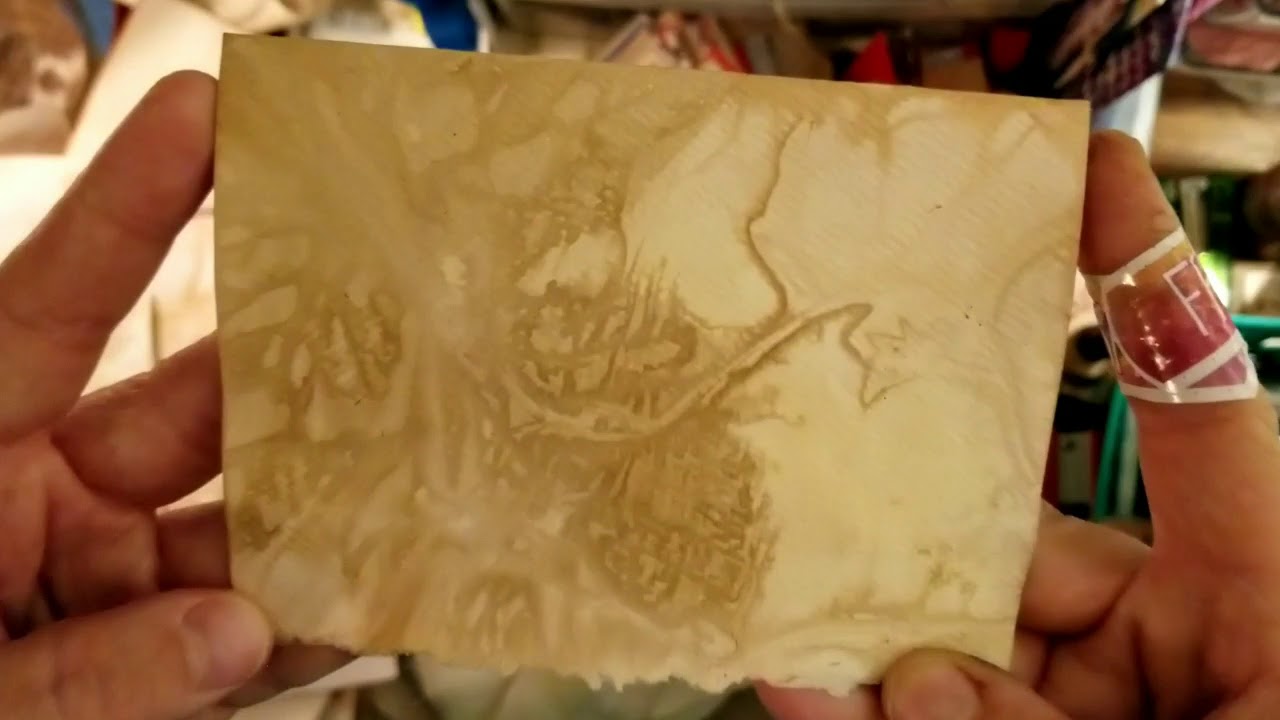 Eco dying | Boiled Paper - YouTube