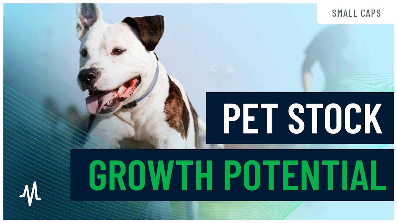 Central Garden & Pet: Niche Focus, Big Growth Potential - YouTube