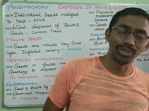 Anemochory,Hydrochory,Zoochory +2 - YouTube