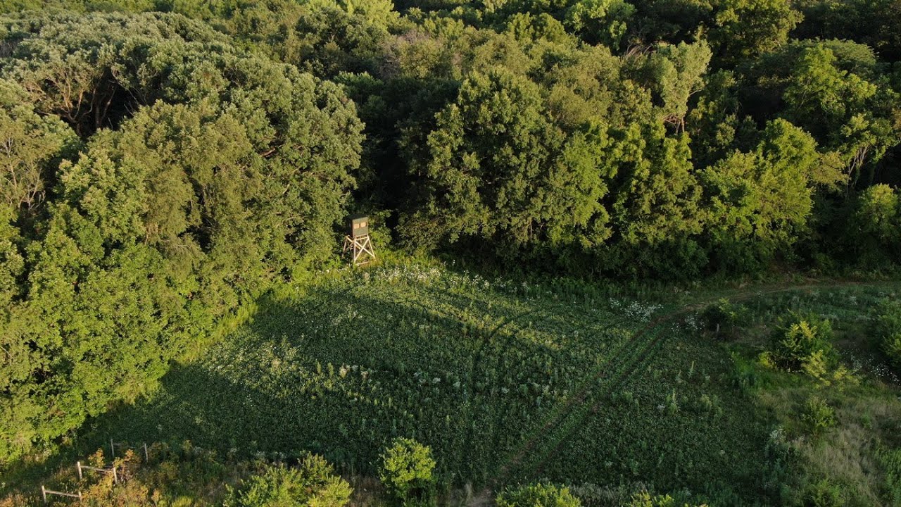 Perfect hunting acreage close to Peoria and minutes from Jubilee State ...