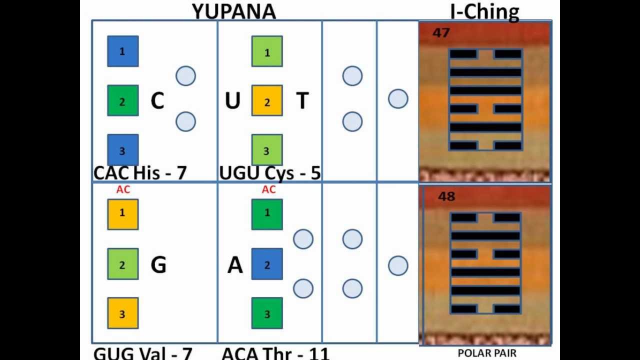 A colorful origin for the genetic code - YouTube