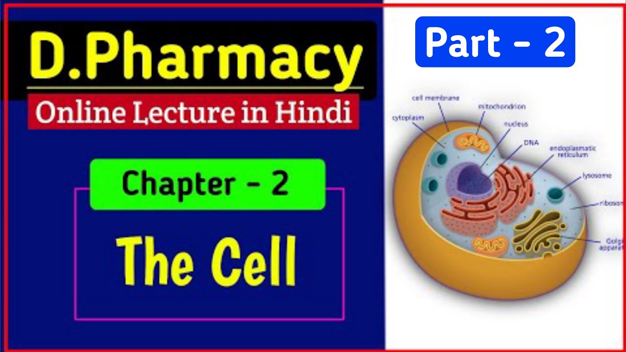 Lecture -2 [Part-2] | The Cell | Nucleus | Function of nucleus | Part ...