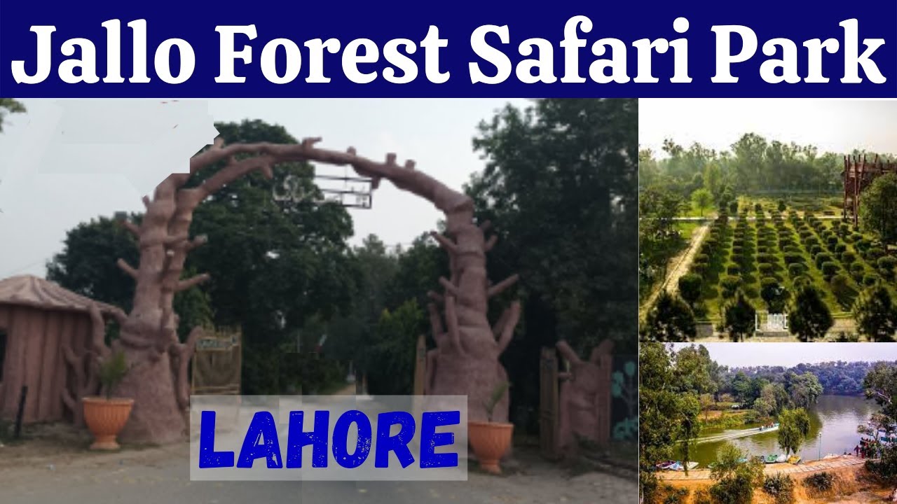 Jallo safari forest park Lahore | bike riding #jallo #jallopark # ...
