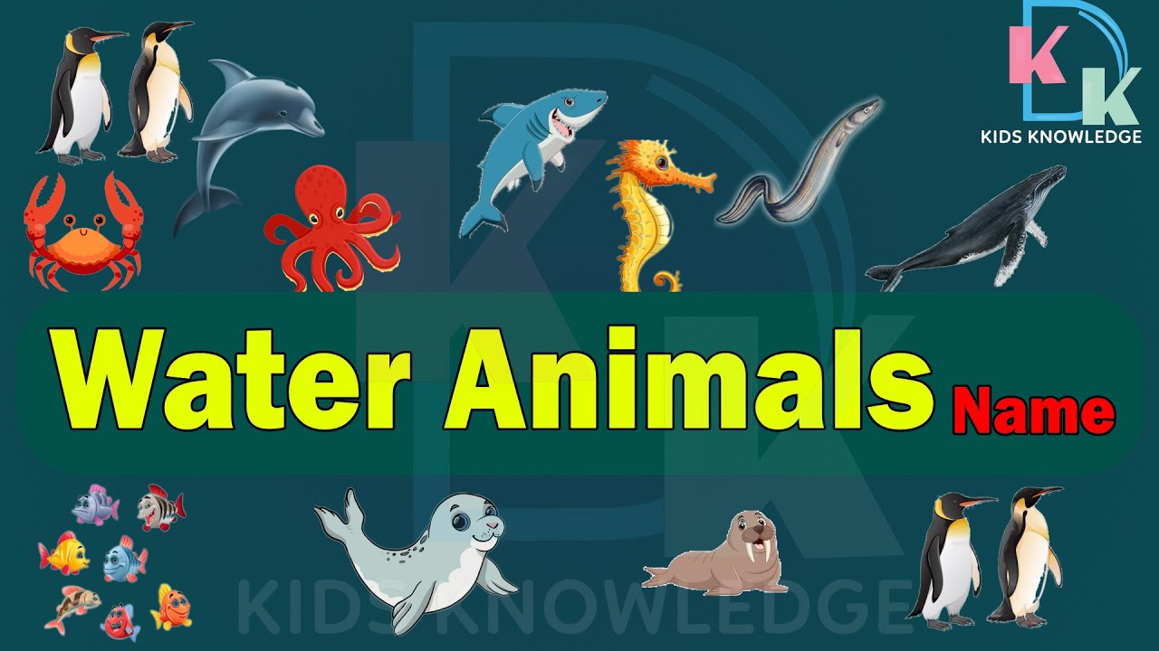 Water Animals | Aquatic Animals Name | Sea Animal Name In English | Sea ...