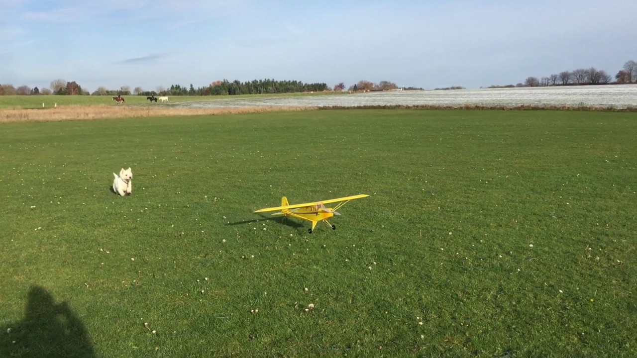 Piper Cub J3 Landing - YouTube