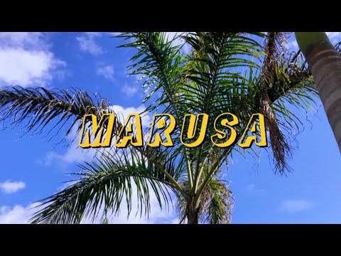 Dance Marusa - Team Tozzy (Official Video Dance)