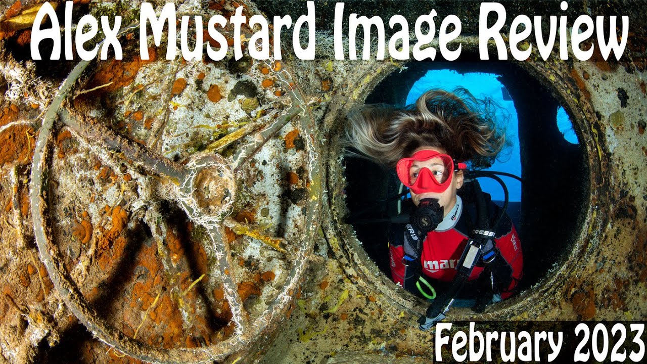 Alex Mustard Image Review. Feb 2023. Part 1. - YouTube