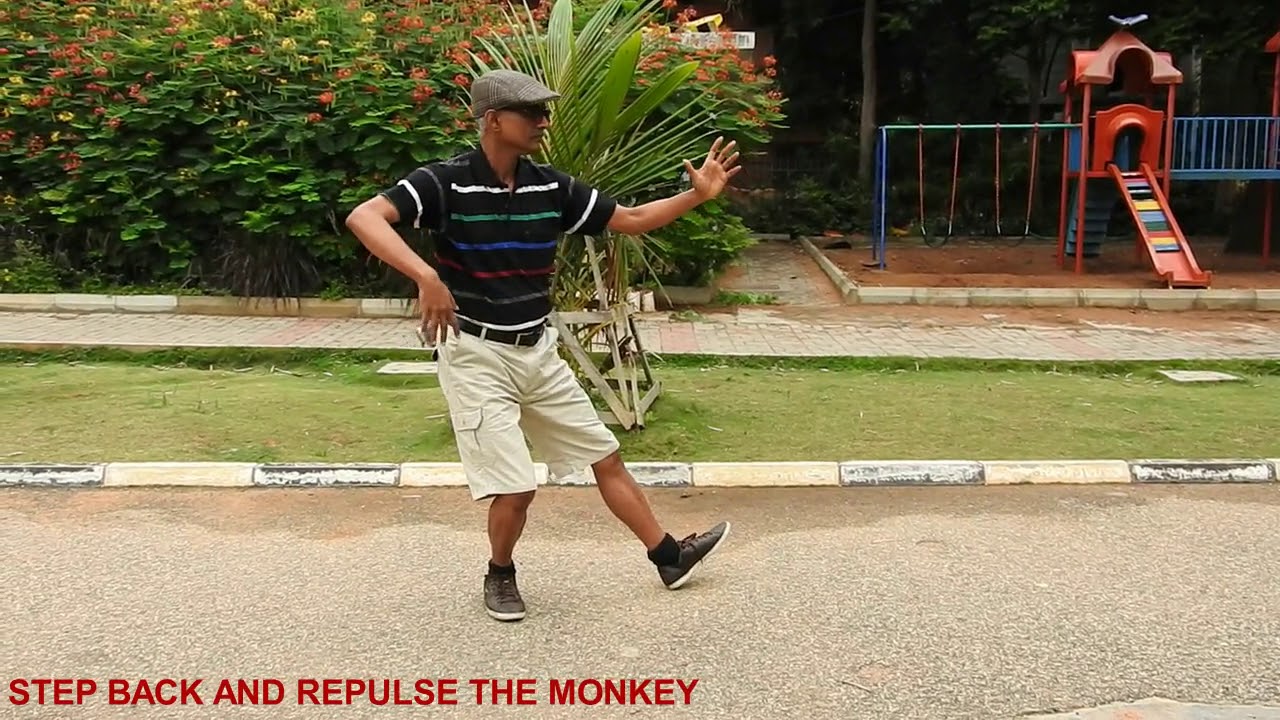 Tai Chi 060 STEP BACK AND REPULSE THE MONKEY - YouTube