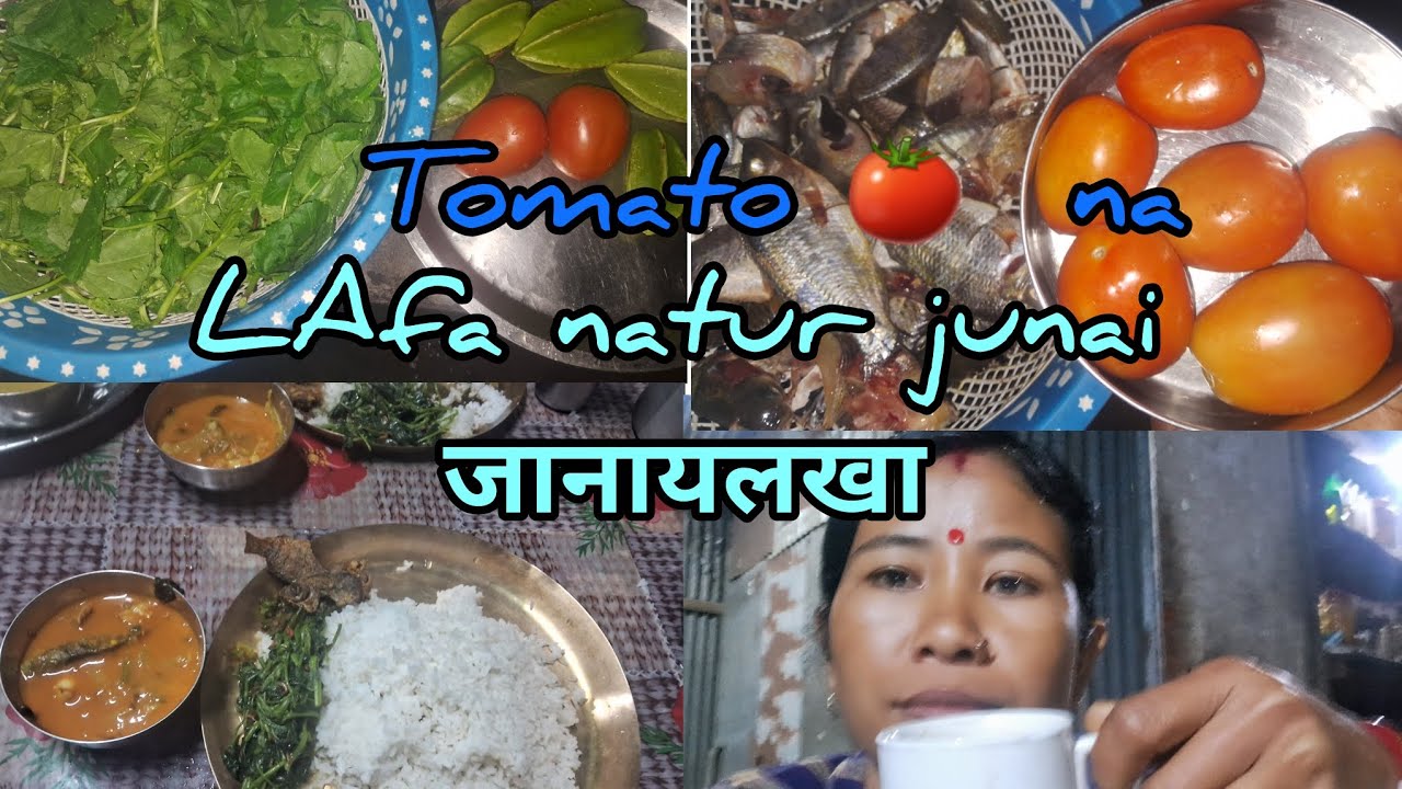आंहा दिनै tomato 🍅 na lafa+ natur junai संना जाबाय सनाफोर // - YouTube
