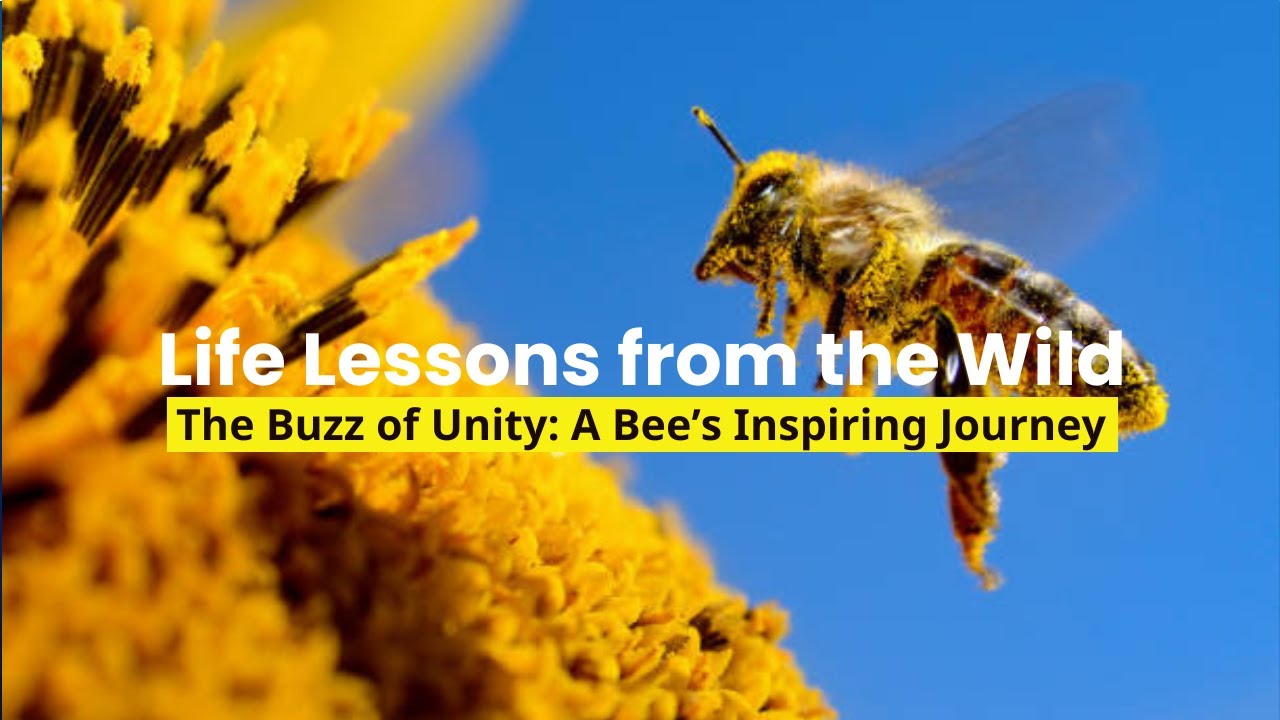 Life Lessons from the Wild: The Buzz of Unity, A Bee's Inspiring ...
