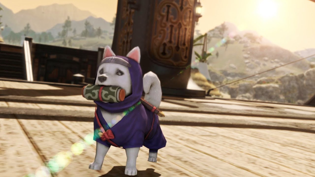 How to Train Your Ninja Dog | FFXIV EU Video Contest Winner - YouTube