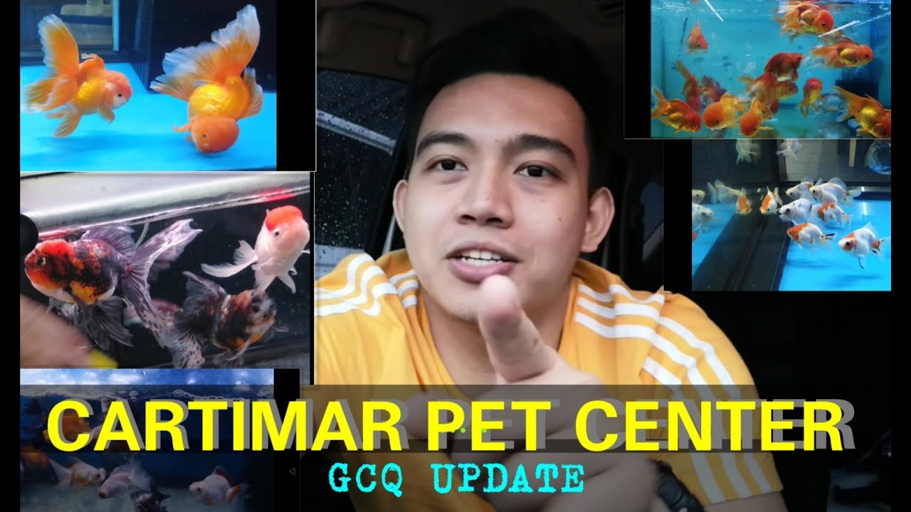 CARTIMAR PET CENTER : CARTIMAR PETSHOP | GCQ UPDATE | LAST DAY OF ...