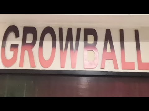 PANGGUNG WAYANG CP masih Tutup|Growball