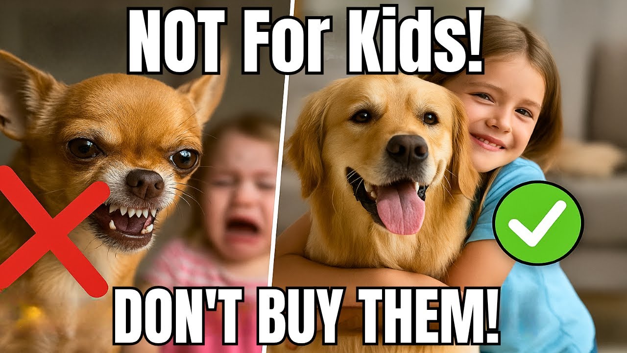 10 Dog Breeds That Are NOT Kid-Friendly (And What to Get Instead) - YouTube
