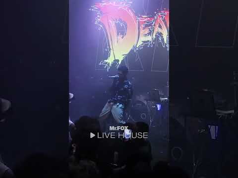 DEAD RABBIT #1- RN’R (rock n’ roll) @Mr.FOX Live House