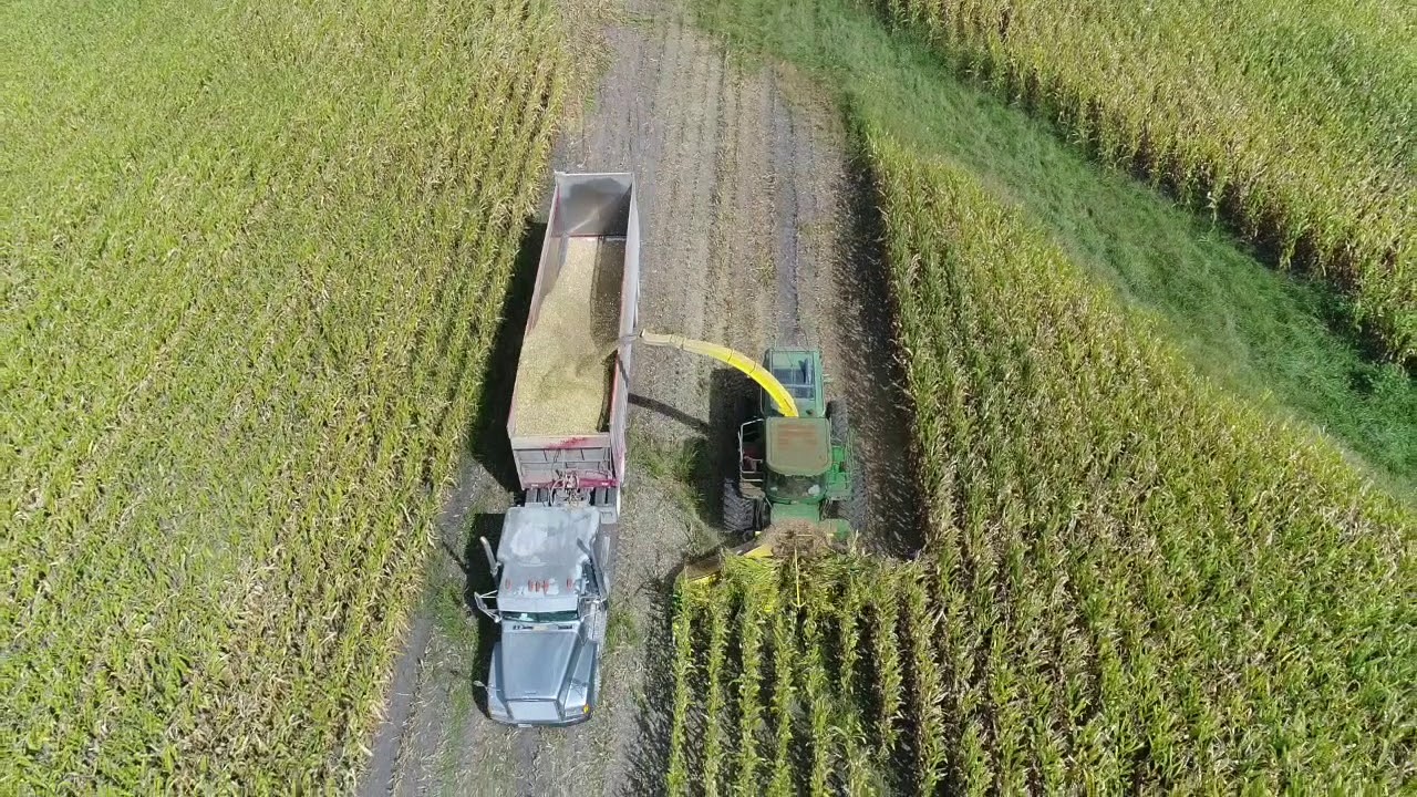 Silage Chop MO 2017 - YouTube