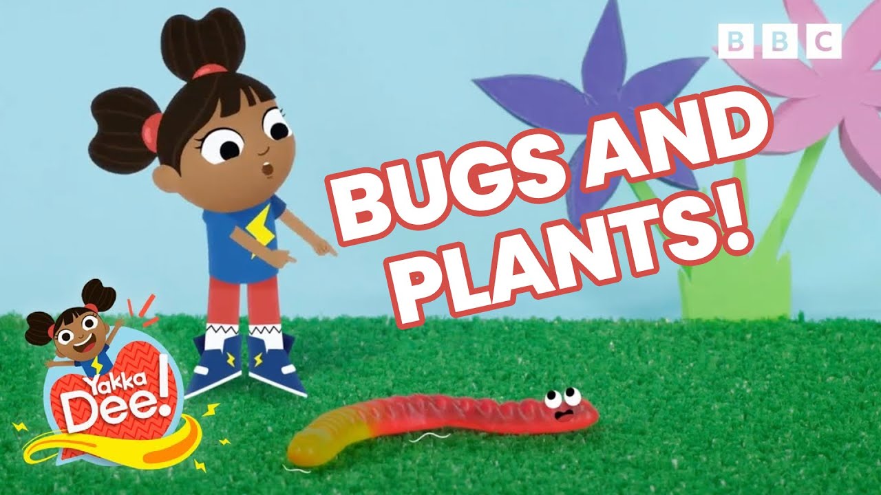 Toddler learning | Insects & Bugs! | Can you sau Worm, Snail, Spider ...
