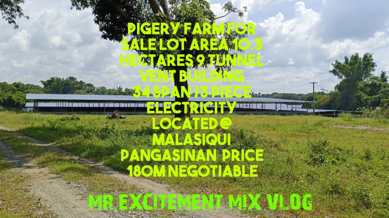 V#88 10.3 HEC.PIGERY FARM FOR SALE @mr.excitementmixvlog - YouTube