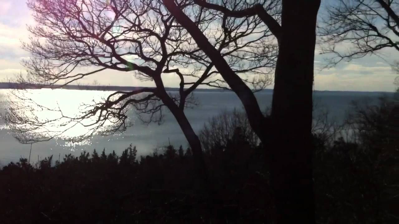 west meadow January - YouTube