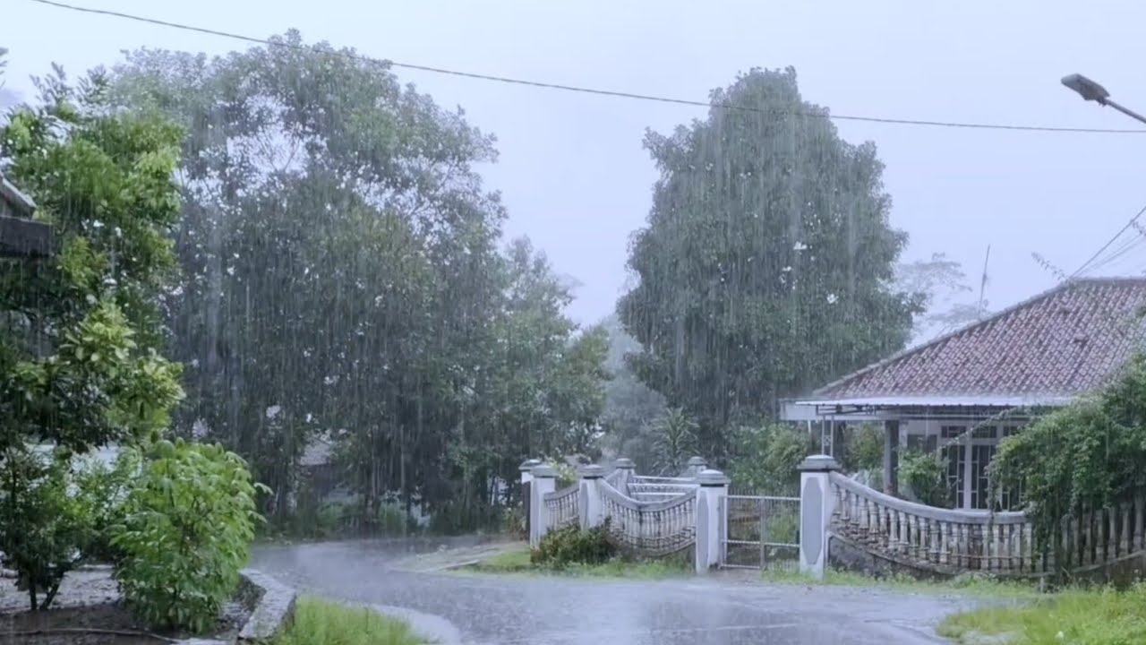 Super Heavy Rain Walk in Bogor Countryside | Rain Sounds For Relaxing ...