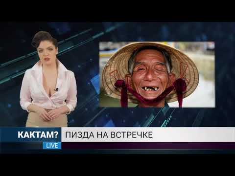 Кактам, Новости из мира