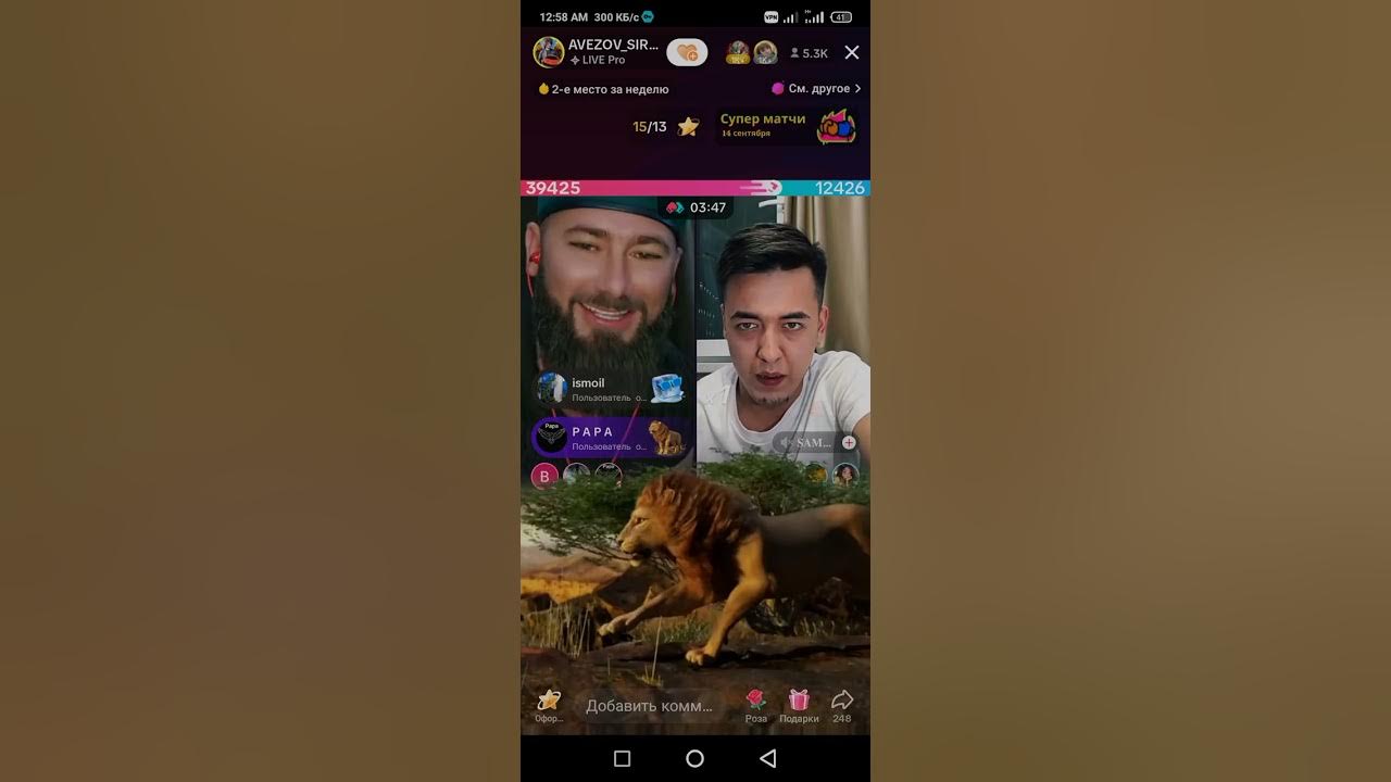 avezov vs sampo sherlar qurshovida qoldi 😂 - YouTube