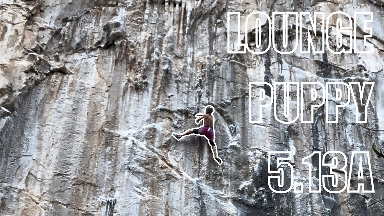 Lounge Puppy 5 13a - YouTube