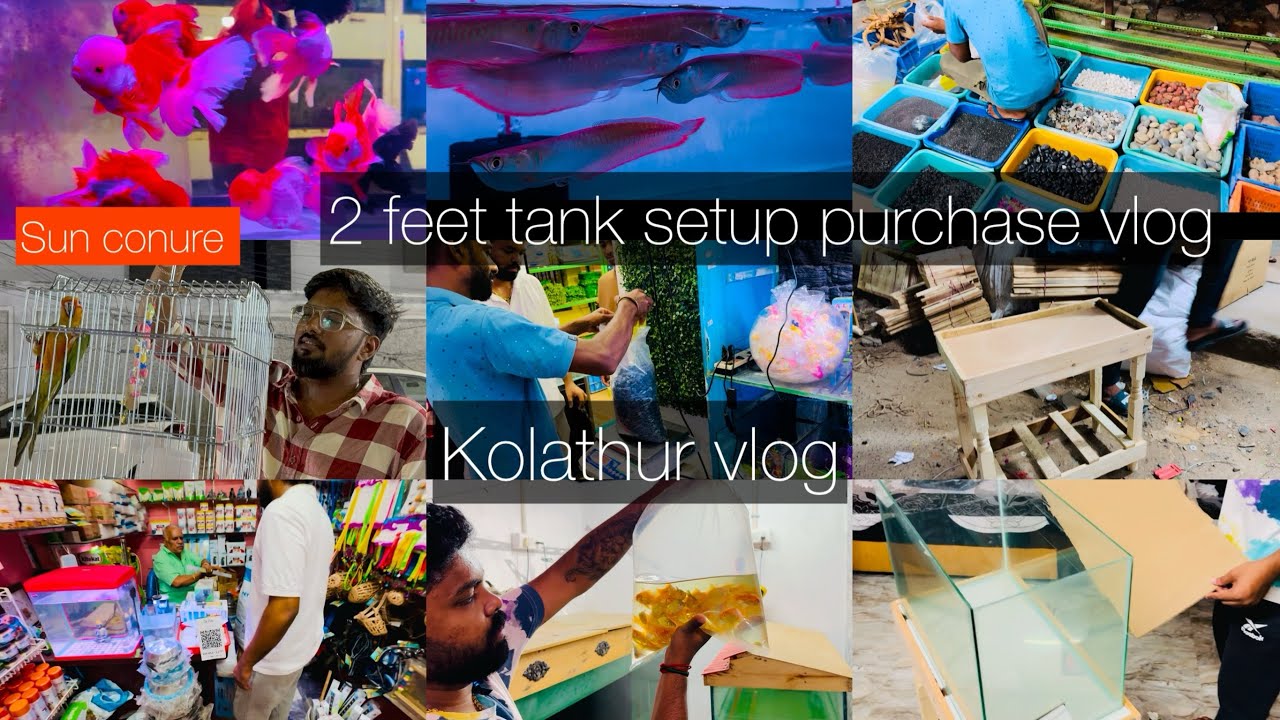 2 feet tank setup video | kolathur purchse vlog | sun cunore | gold ...