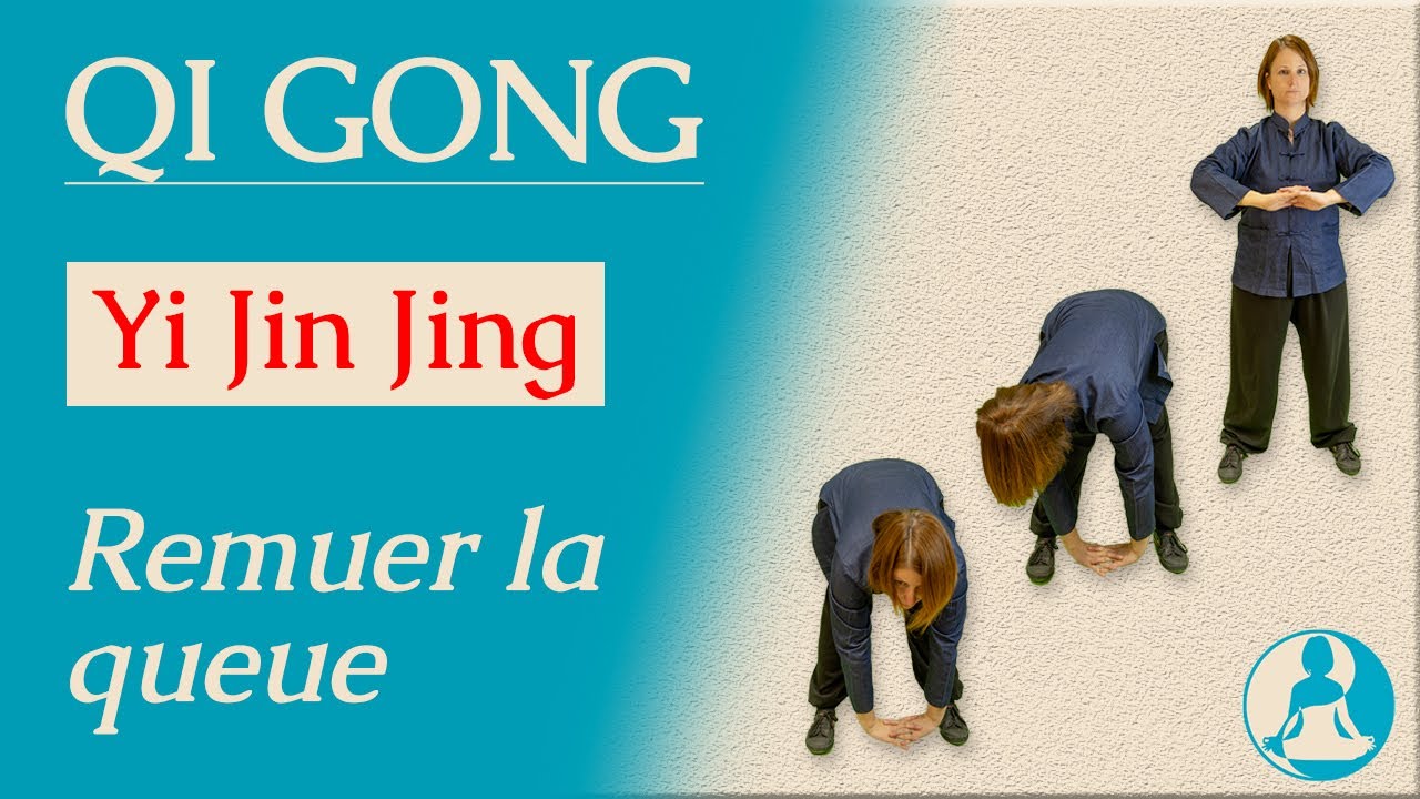 Qi Gong pour les muscles et les tendons : Remuer la queue - YouTube
