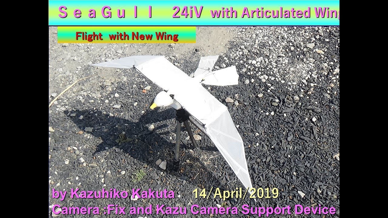 Seagull 24iV-5 with New Articulated Gull wings: Good Flight with New ...