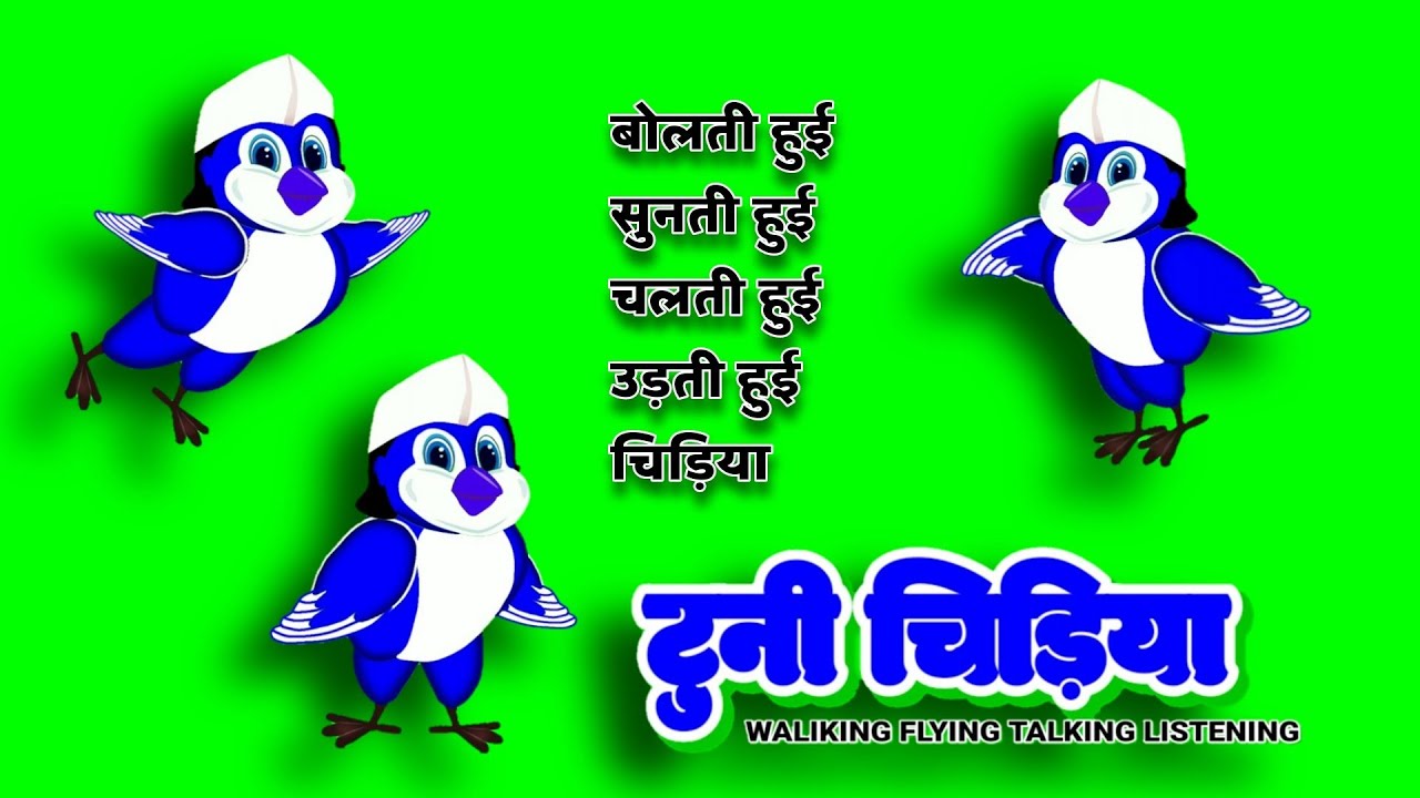 Blue Tuni Chidiya | Flying | Walking | Talking | Listening | Bird ...